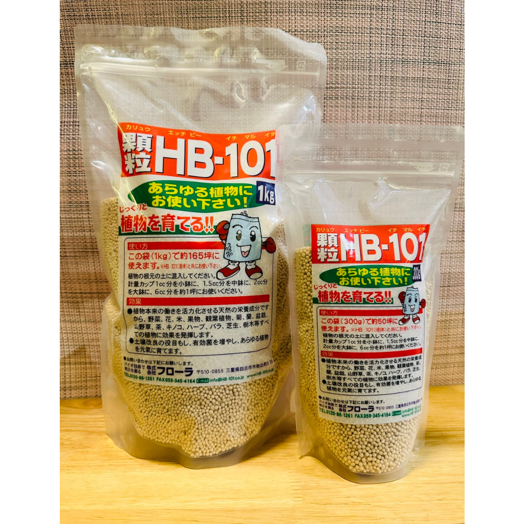 Hb101鹿角蕨的價格推薦 - 2024年3月| 比價比個夠BigGo