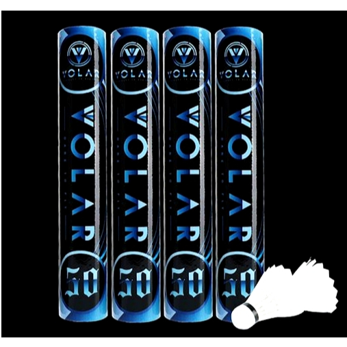 volar v-30的價格推薦 - 2025年10月 | 比價比個夠BigGo