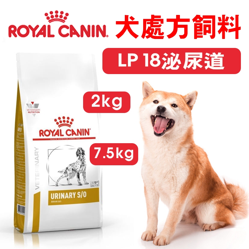 lp18皇家狗的價格推薦 - 2025年6月 | 比價比個夠BigGo