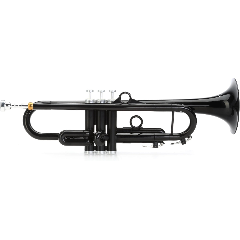 ptrumpet的價格推薦 - 2025年9月 | 比價比個夠BigGo