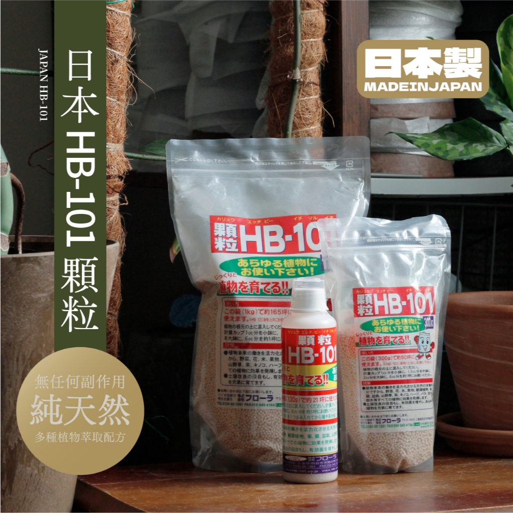 hb101鹿角蕨的價格推薦 - 2025年4月 | 比價比個夠BigGo