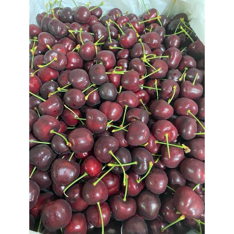 櫻桃8.5R的價格推薦 - 2024年11月| 比價比個夠BigGo