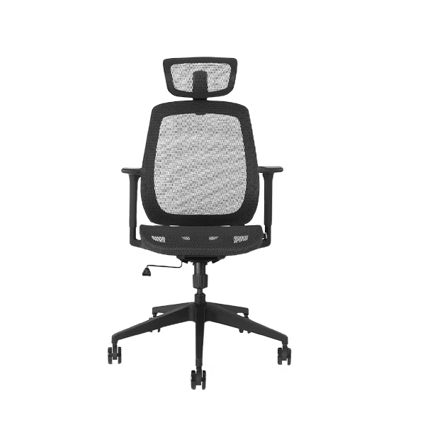 backbone人體工學椅 Bear的價格推薦 - 2025年6月 | 比價比個夠BigGo