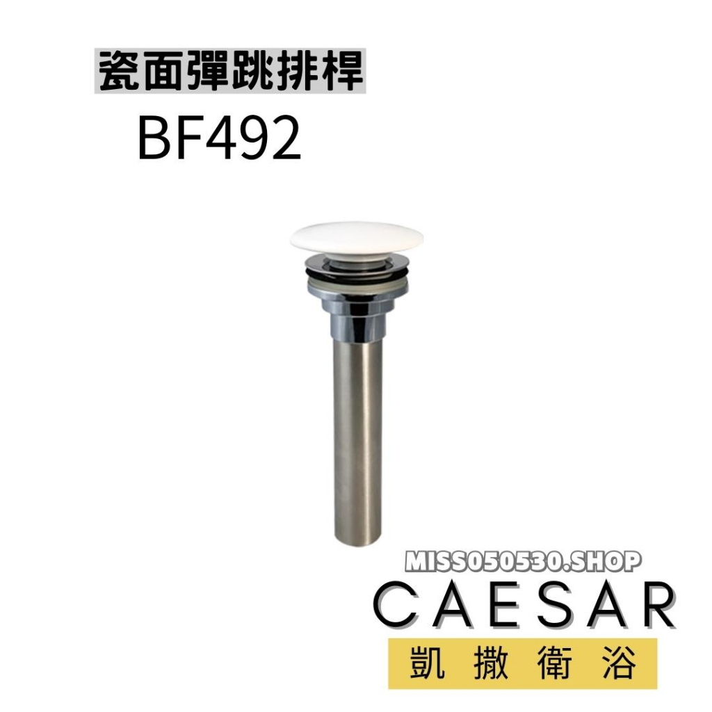 凱撒衛浴 caesar bf492的價格推薦 - 2025年10月 | 比價比個夠BigGo