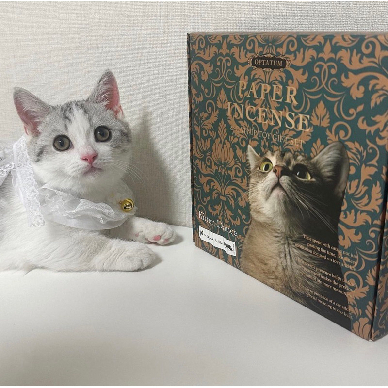 Optatum 香芬的價格推薦 - 2024年9月| 比價比個夠BigGo