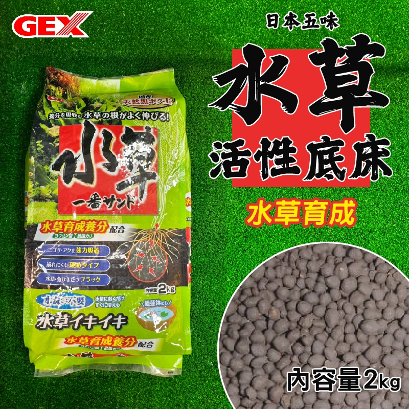 GEX 水草的價格推薦 - 2025年7月 | 比價比個夠BigGo