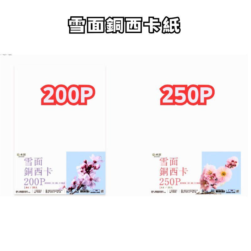 雪面銅西卡250P的價格推薦 - 2025年10月 | 比價比個夠BigGo