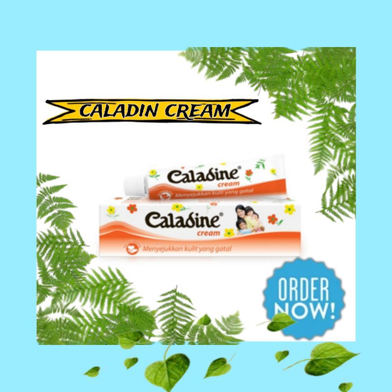 caladin的價格推薦 - 2025年4月 | 比價比個夠BigGo