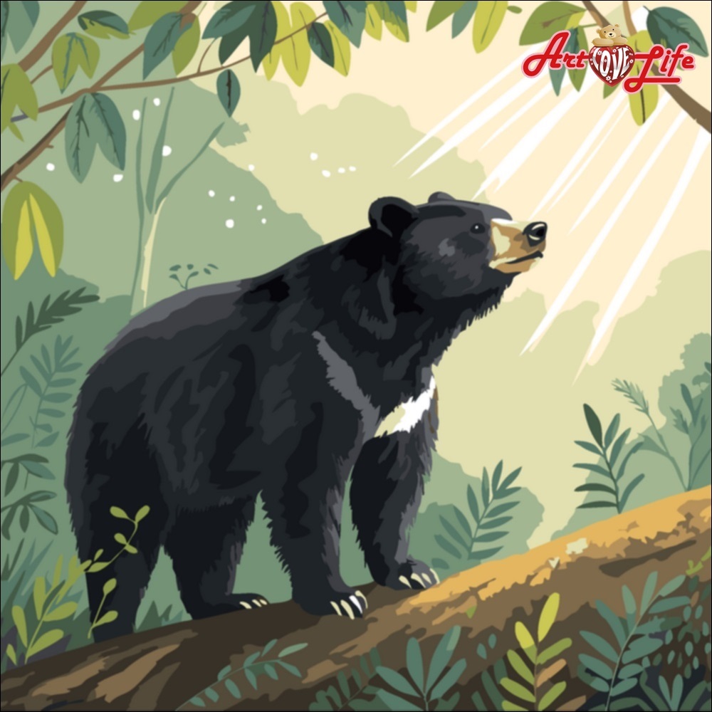 台灣黑熊diy的價格推薦 - 2025年8月 | 比價比個夠BigGo