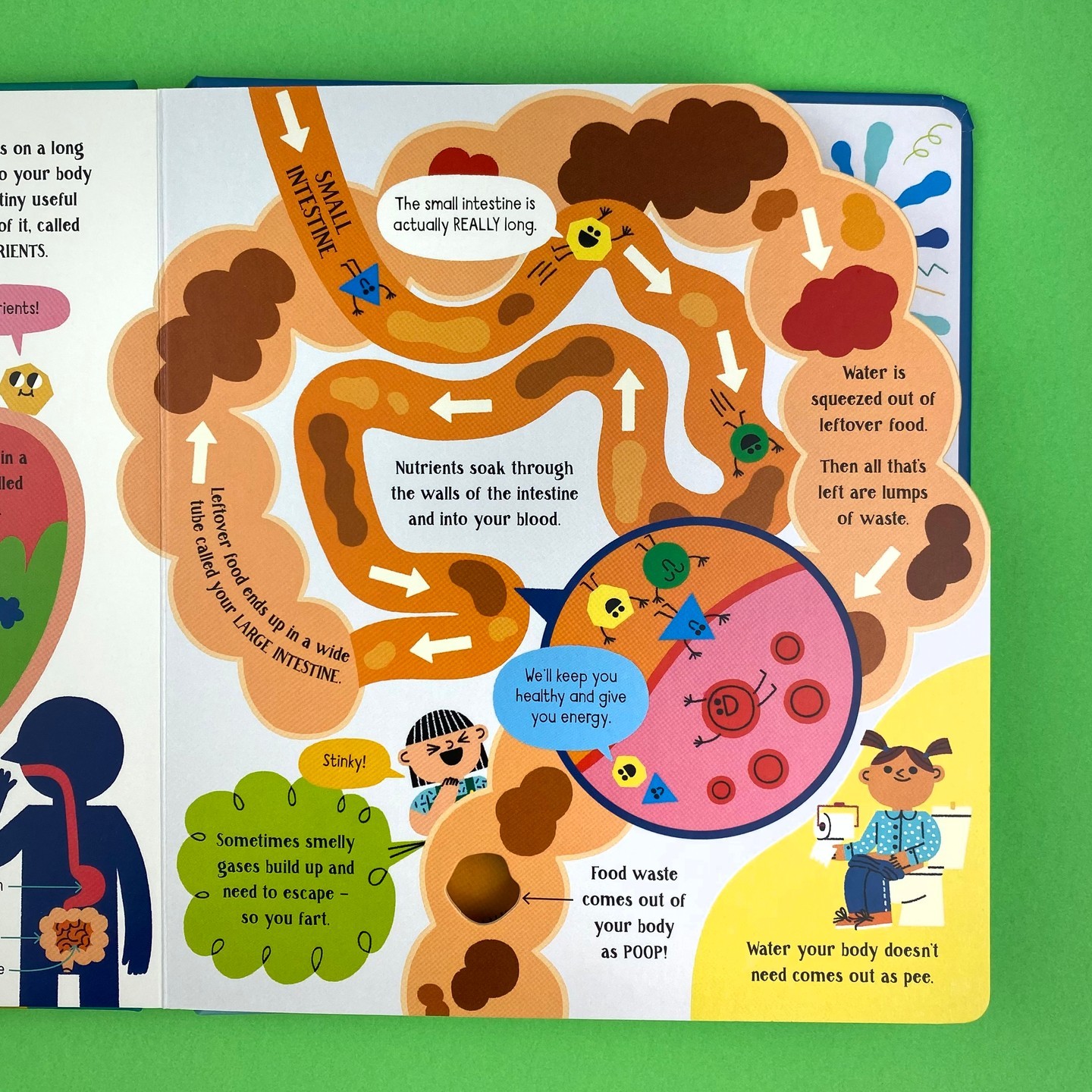 英文科普知識繪本Usborne Step Inside Science Your Body人體🍀硬頁翻翻書🍀缺書店 - 缺書店【英文童書繪本 ...