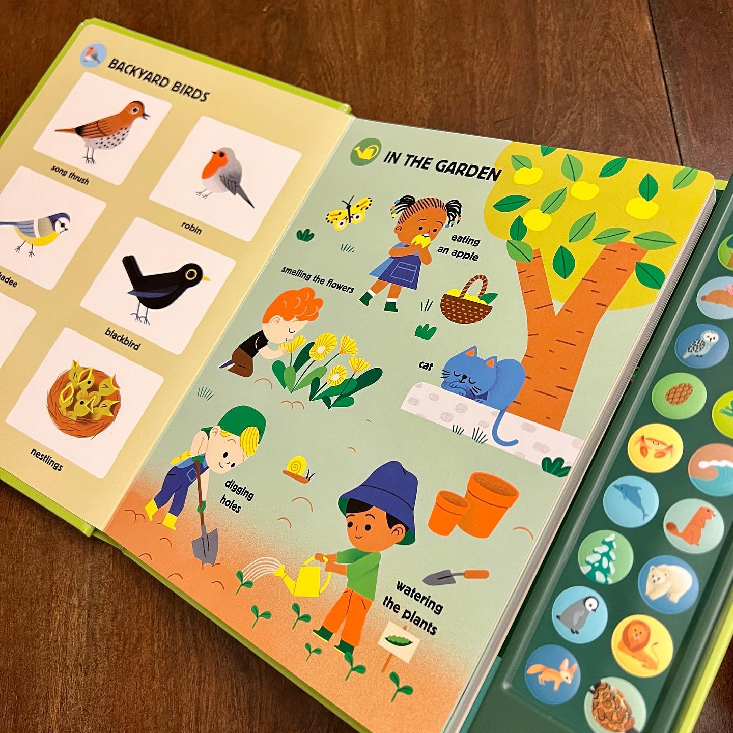 缺書店🍀英文硬頁大自然音效按鍵書🍀My Big Book of Nature Sounds🍀100種聲音和英文單字 - 缺書店【英文童書繪本 ...