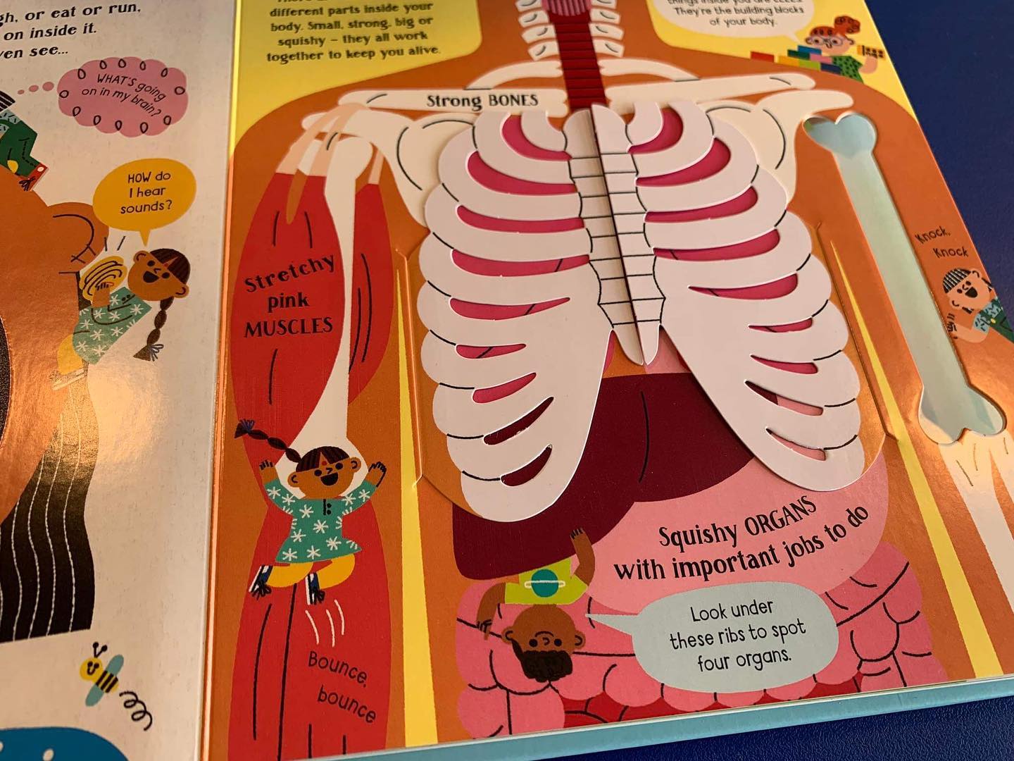 英文科普知識繪本Usborne Step Inside Science Your Body人體🍀硬頁翻翻書🍀缺書店 - 缺書店【英文童書繪本 ...