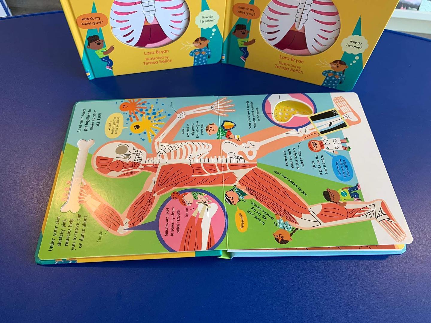 英文科普知識繪本Usborne Step Inside Science Your Body人體🍀硬頁翻翻書🍀缺書店 - 缺書店【英文童書繪本 ...