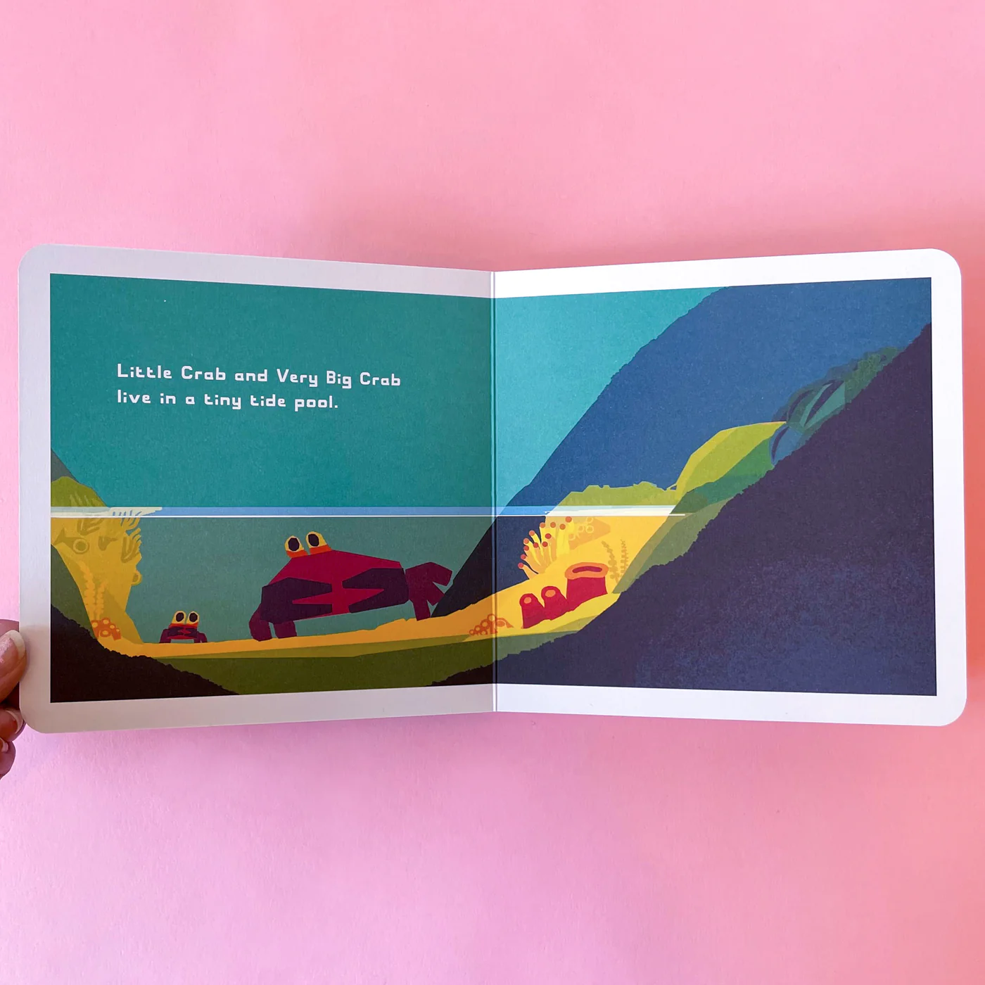 缺書店🍀英文啟蒙繪本🍀Don＇t Worry, Little Crab 情緒教育🍀Chris Haughton - 缺書店【英文童書繪本專賣 ...