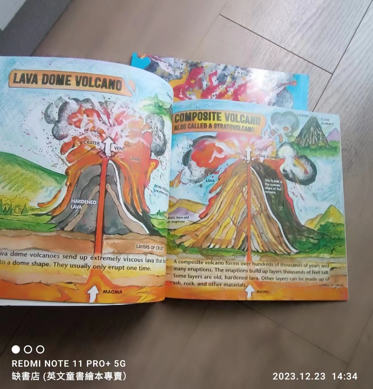 🍀平裝英文科普繪本🍀Volcanoes 火山🍀Gail Gibbons🍀缺書店 - 缺書店【英文童書繪本專賣】請購物時加LINE ...