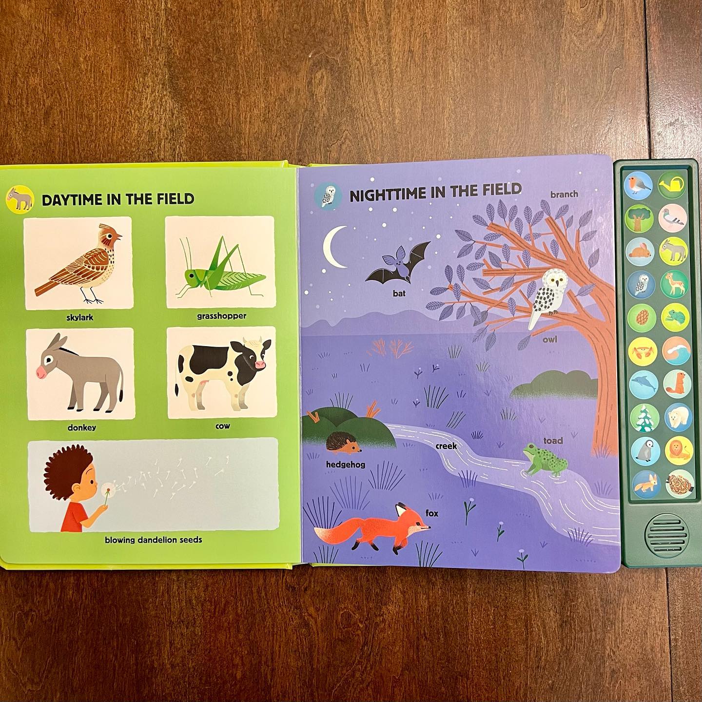缺書店🍀英文硬頁大自然音效按鍵書🍀My Big Book of Nature Sounds🍀100種聲音和英文單字 - 缺書店【英文童書繪本 ...