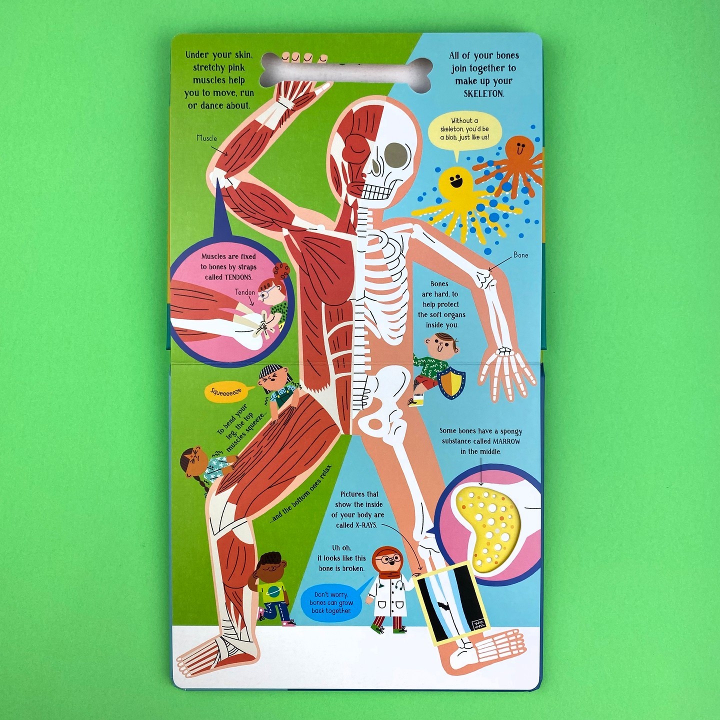 英文科普知識繪本Usborne Step Inside Science Your Body人體🍀硬頁翻翻書🍀缺書店 - 缺書店【英文童書繪本 ...