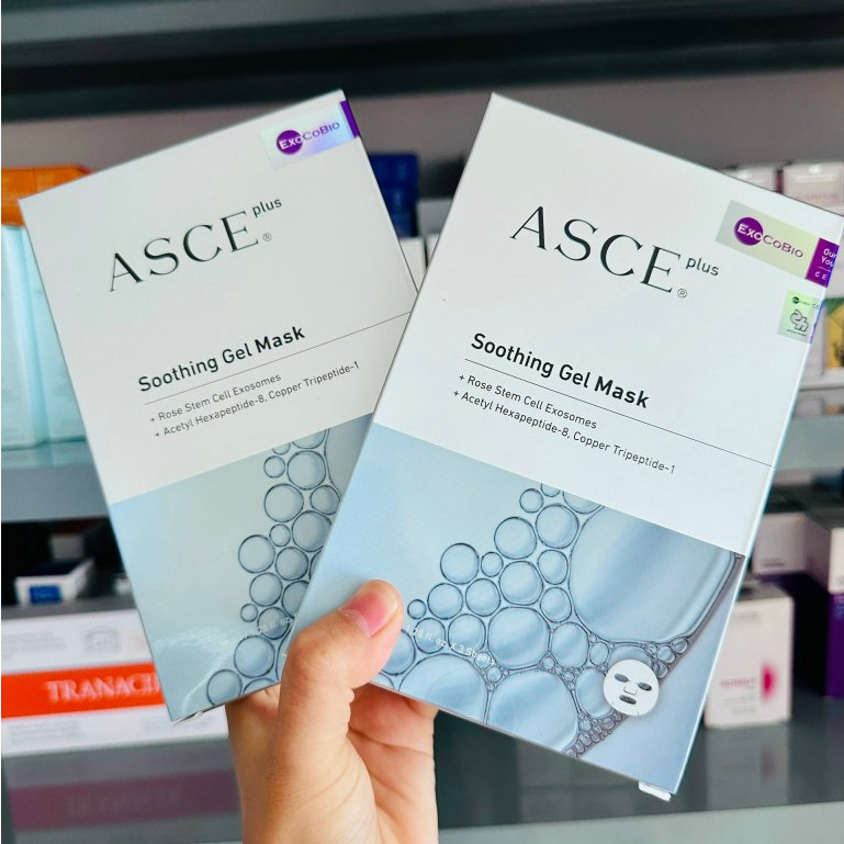 asce plus的價格推薦 - 2024年11月| 比價比個夠BigGo